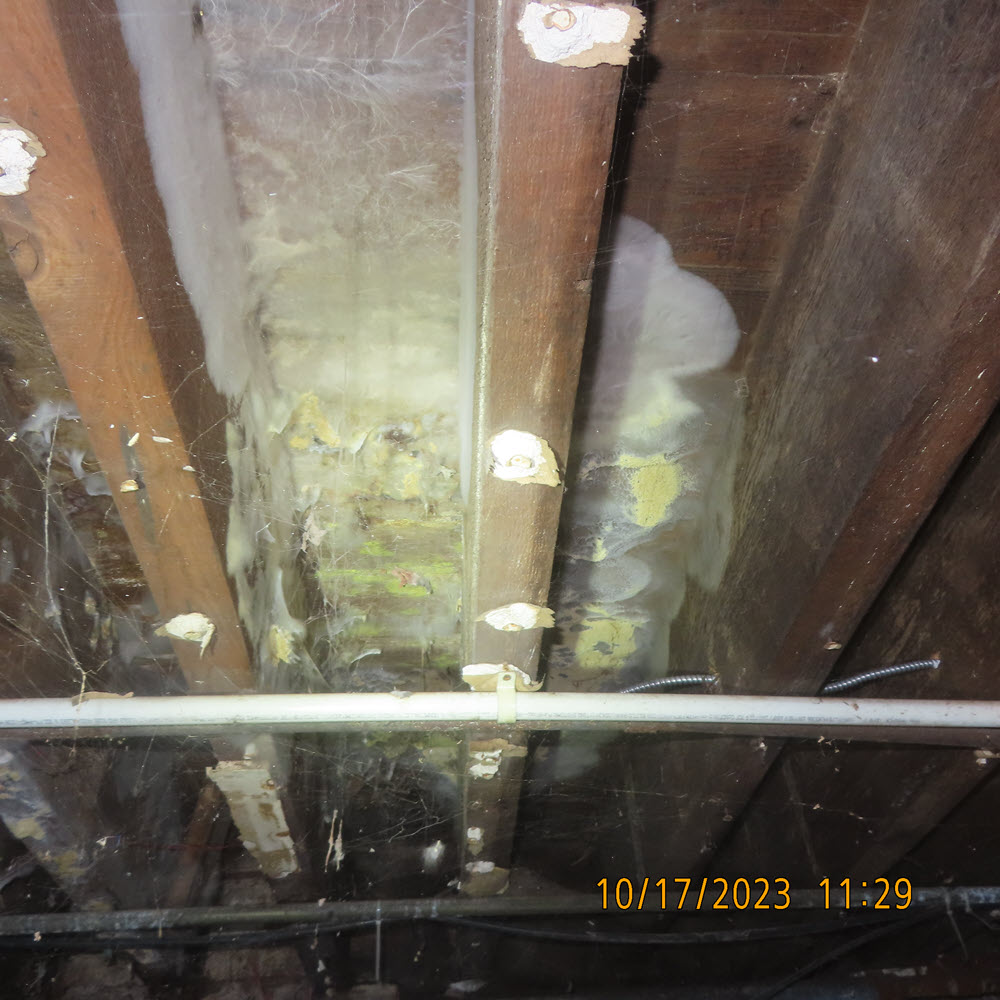 NJ Basement Mold | Mold Testing NJ-NY